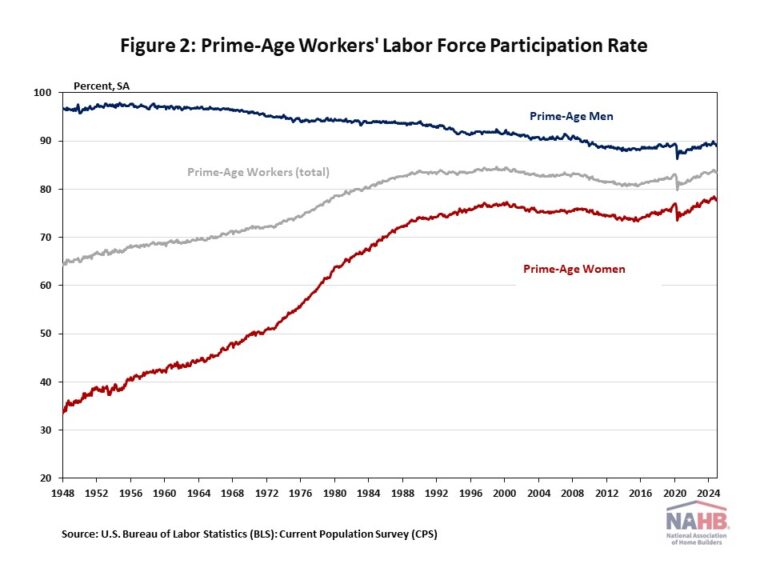 Demographic Analysis of Labor Force Participation Rate